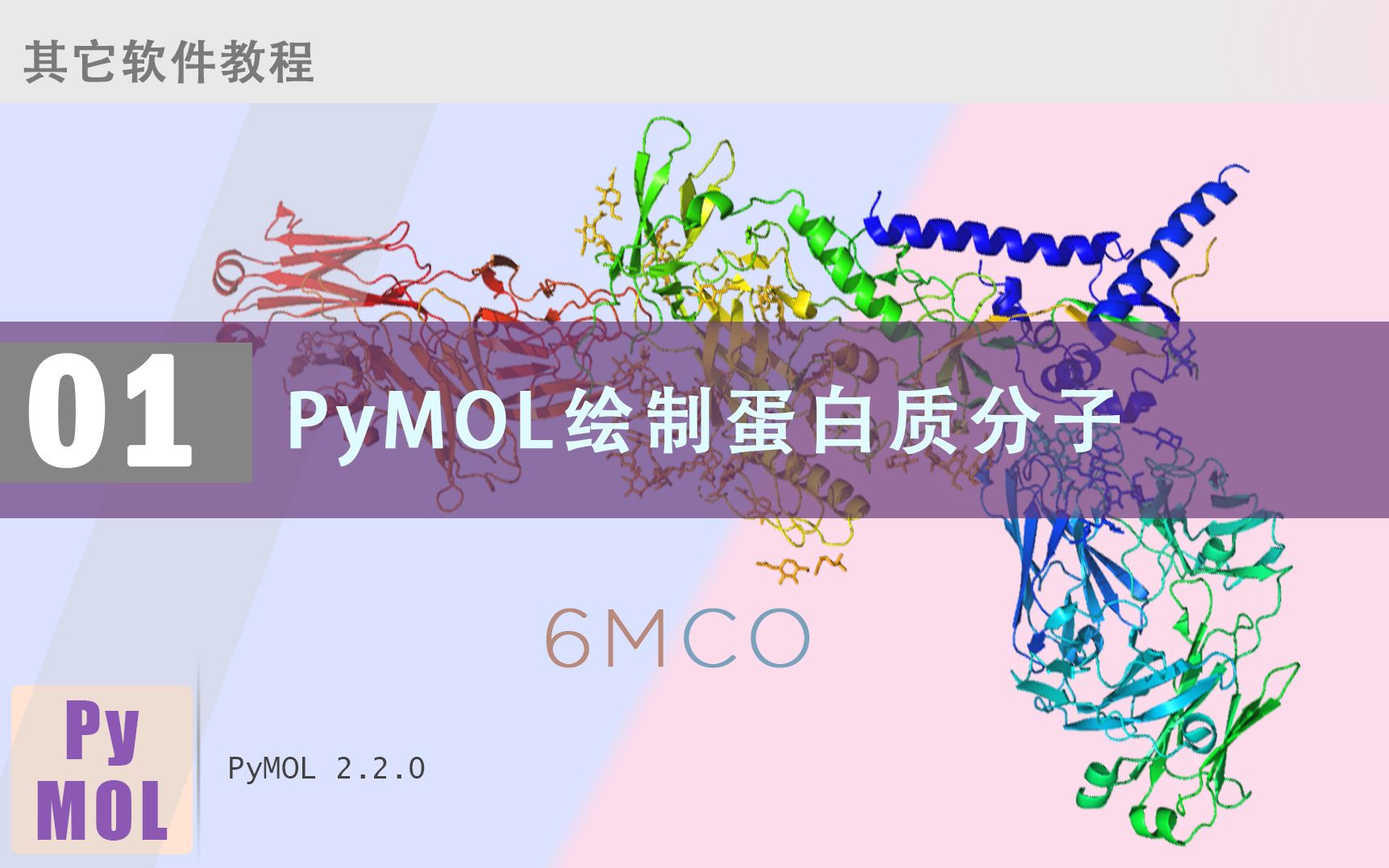 PyMOL绘制蛋白质