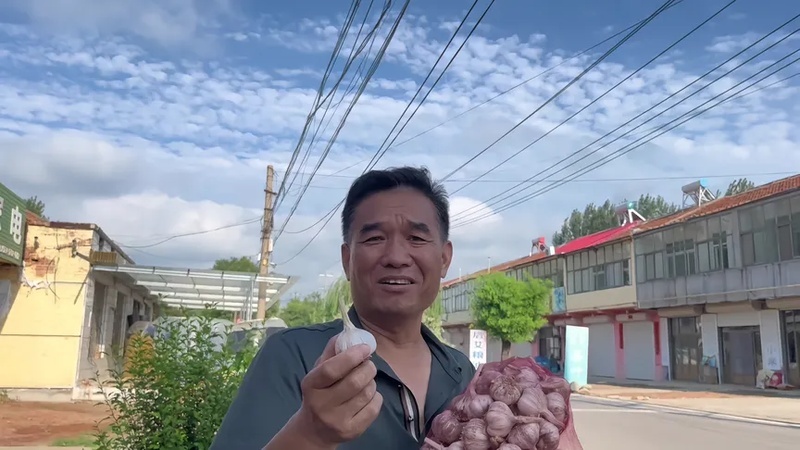 自然生长的大蒜只给家人们吃,个头不大自然蒜香,吃着放心