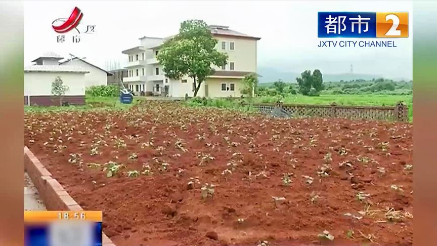 新余仙女湖区:涉及“假”整改 三人诫勉谈话 两人被立案审查