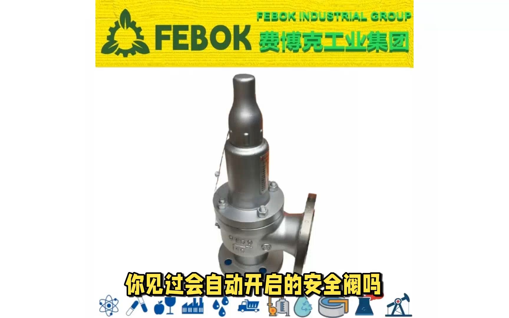 进口封闭型弹簧全启式泄压安全阀 美国费博克FEBOK