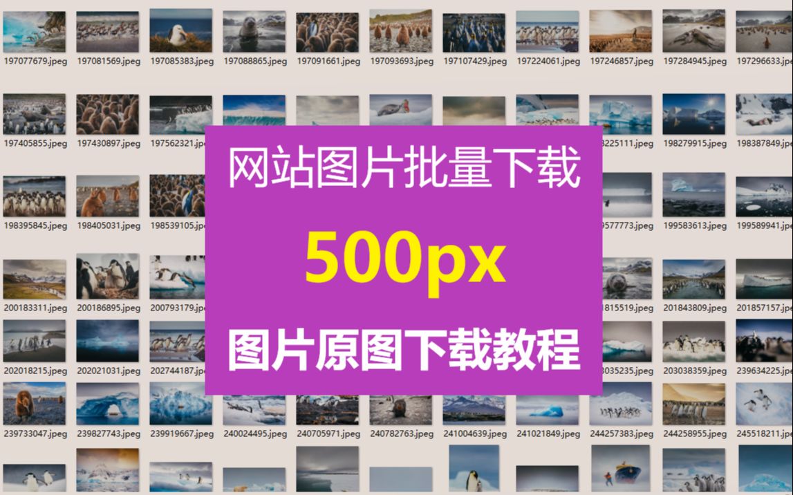 教你批量下载保存500px 高清原图