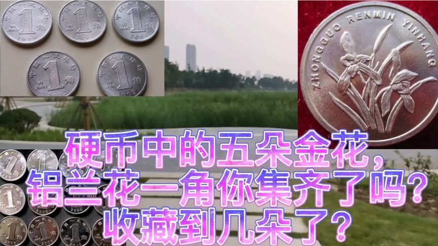 硬币中的五朵金花,铝兰花一角你集齐了吗?收藏到几朵了?