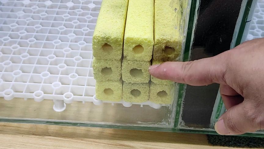 鱼缸过滤材料怎么摆放?这样摆放更高效合理,水质自然清澈见底