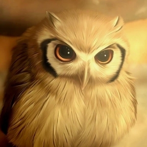 夜猫君的游戏屋 