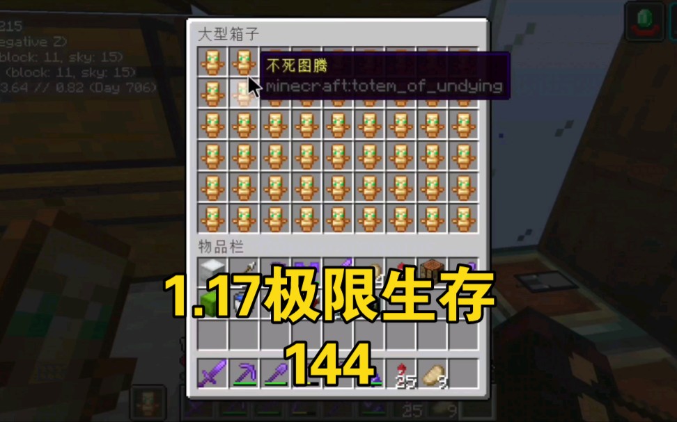 【我的世界】Java版1.17极限生存 144