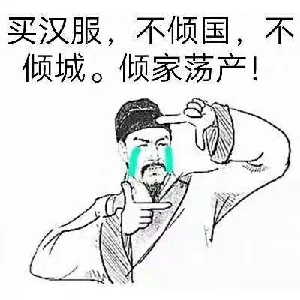 昭以日月 