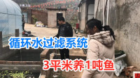 自制循环水过滤系统,3平米养出1吨鱼,不要鱼塘在楼顶都能养!