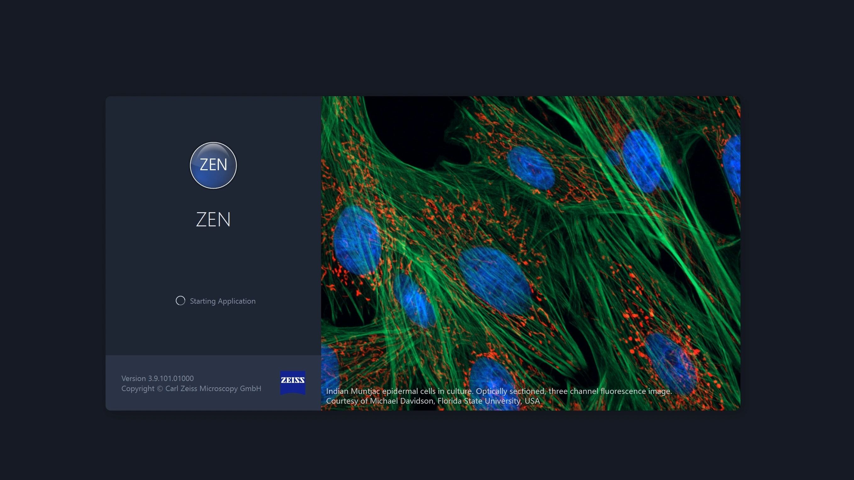 ZEISS Zen 3.9 最新完整版 下载安装教程 激光共聚焦CZI文件打开软件 ...