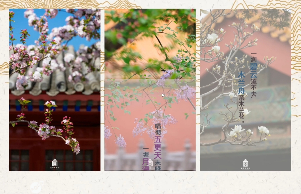 网页设计|Axure 古风 学院网页