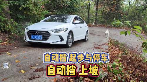 开自动挡车正确起步和停车步骤,老司机演示给你看,新手一学就会