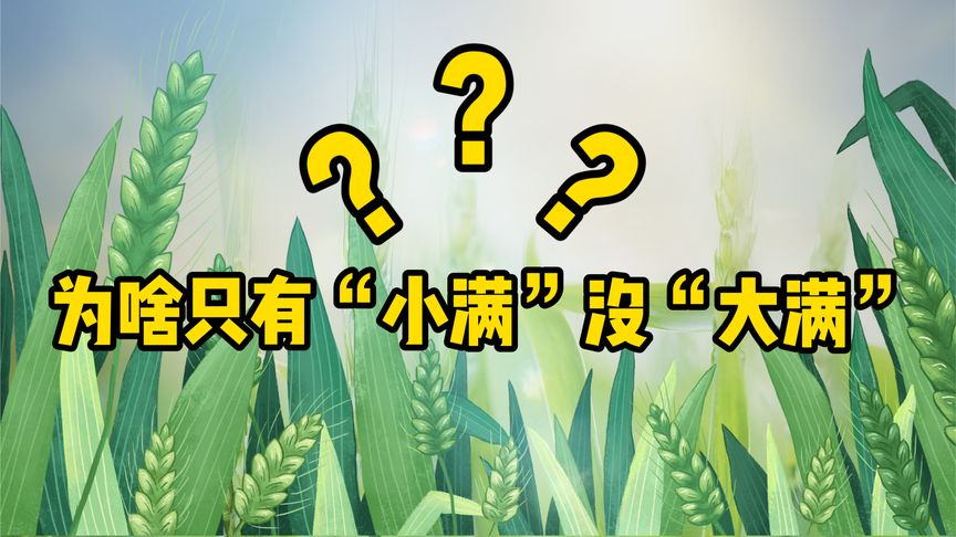 为啥只有“小满”没“大满”?