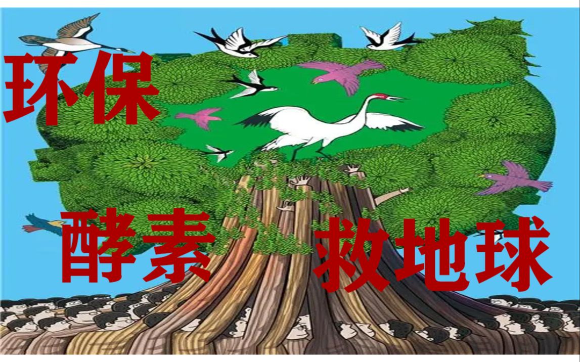 台湾实践案例分享