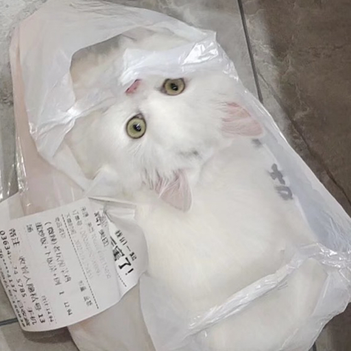 七月在长大 