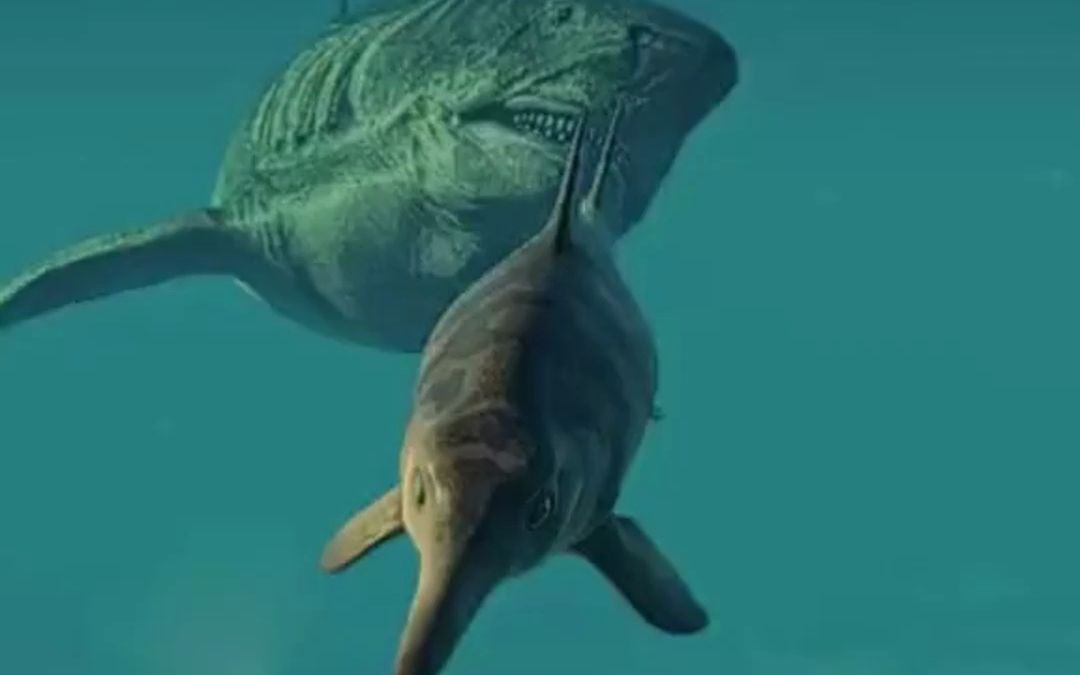 【Wantmoin玩模乐】巨齿鲨来袭