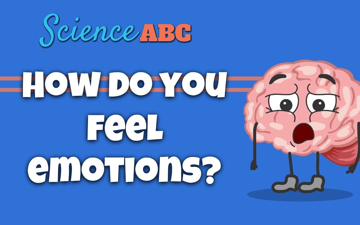 情绪和大脑 | 什么是边缘系统?