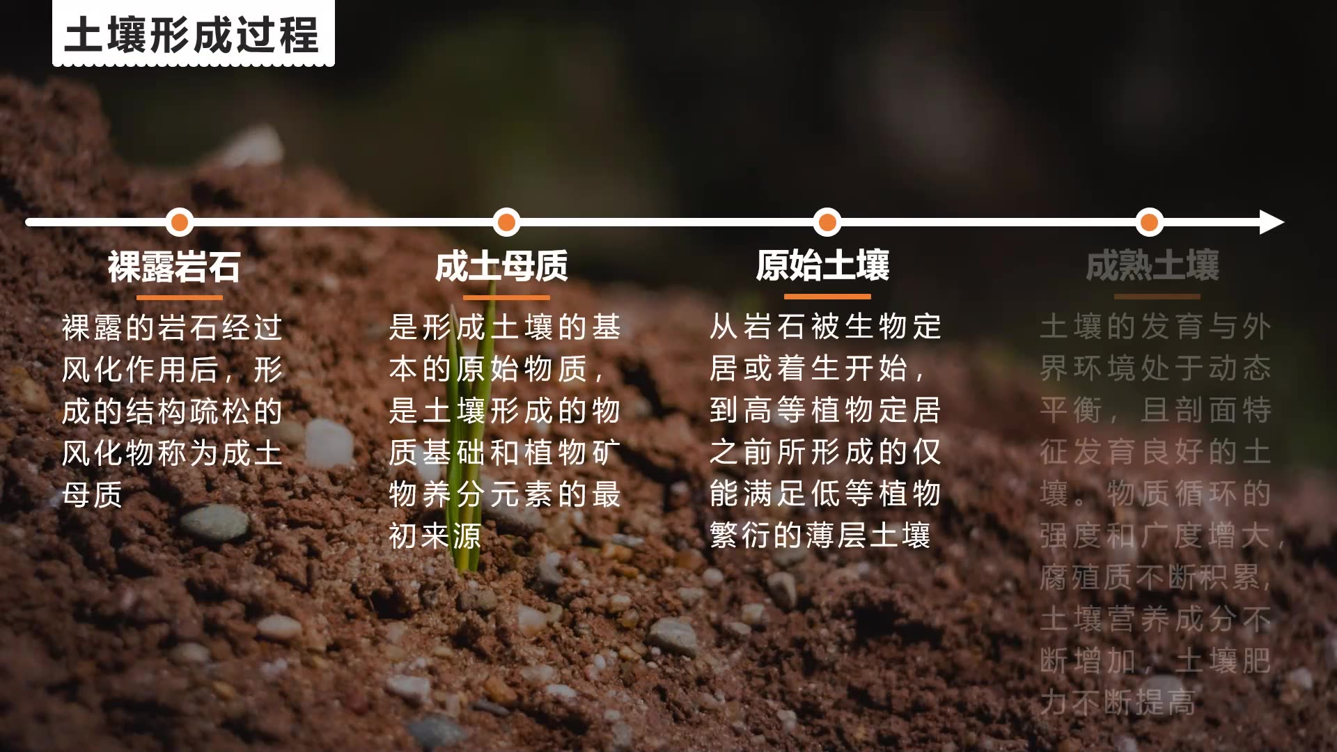 高中地理精品课件《土壤》