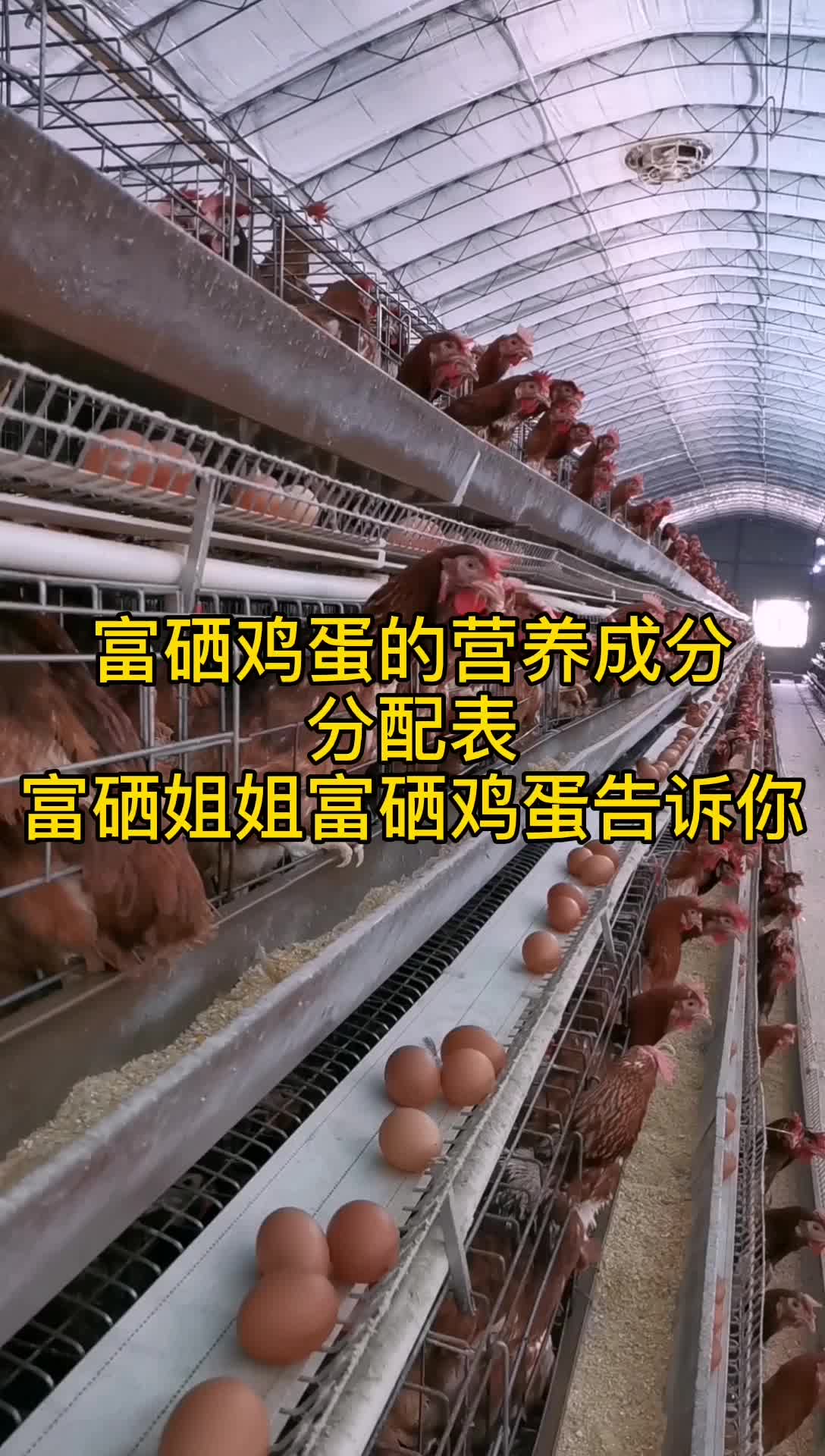 富硒鸡蛋的营养成分表,富硒姐姐鸡蛋告诉你