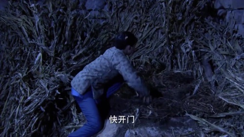 行动:战士身受重伤,村妇把他藏到地窖,结果一头猪直接引开鬼子