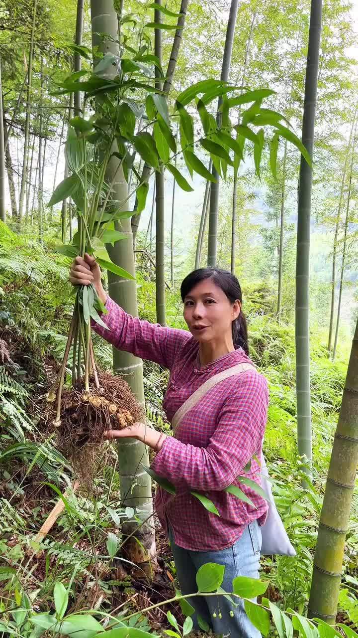 很多粉丝问我,野生黄精能不能直接煲汤,主要看品种