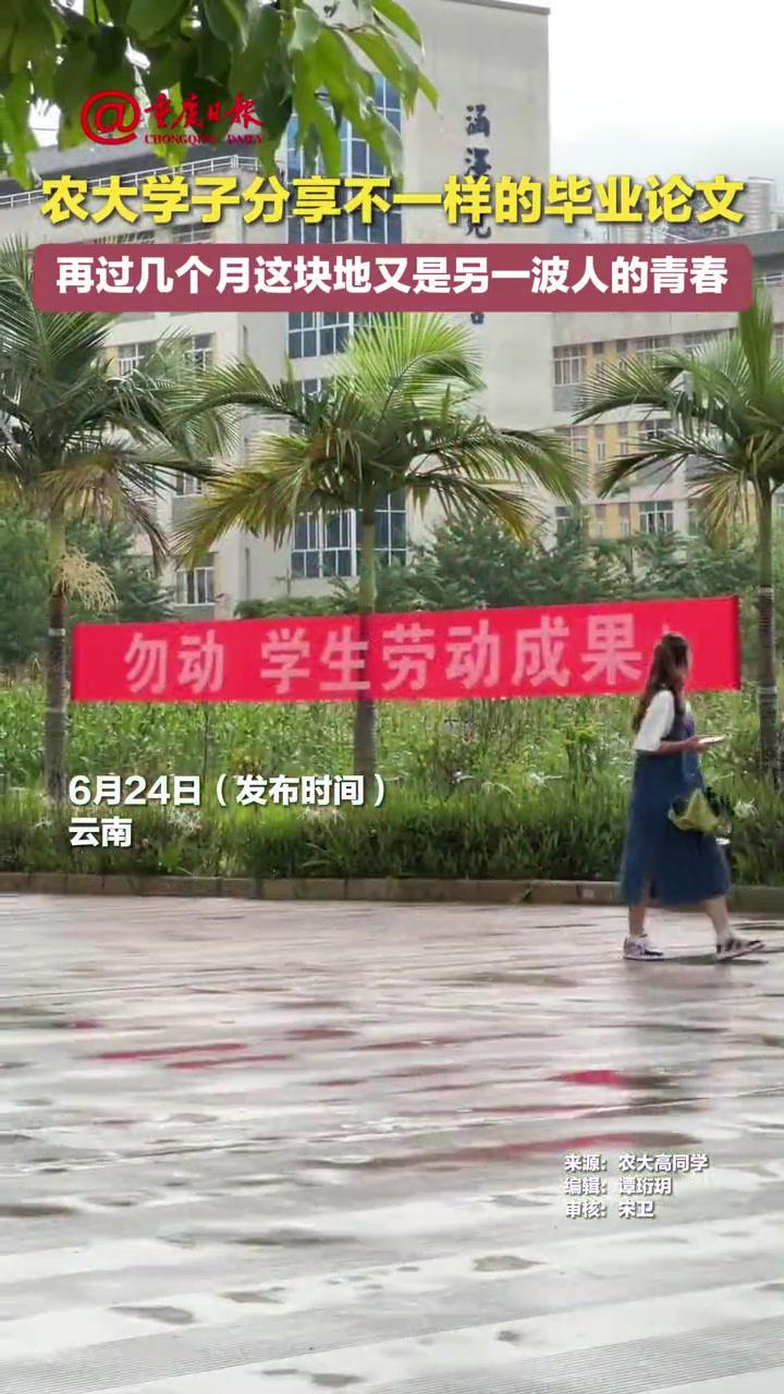 农大学子分享不一样的毕业论文#特殊的毕业论文#毕业季