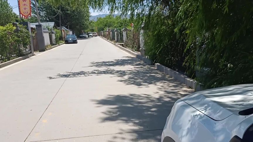 现代农业的的新经济模式 大家说说怎么样
