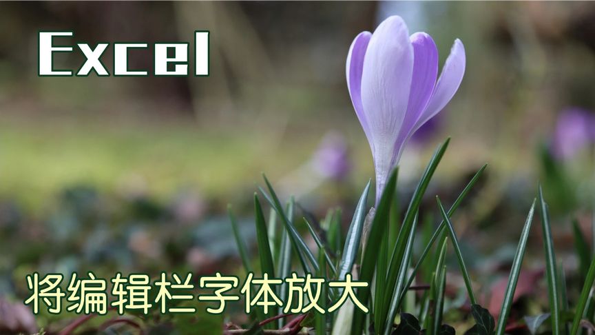 Excel:将编辑栏字体放大,一遍检查复杂公式或单元格内容