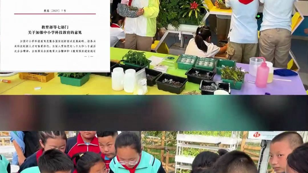 校园微耕劳动教育丨太空未来农场的科技劳动实践