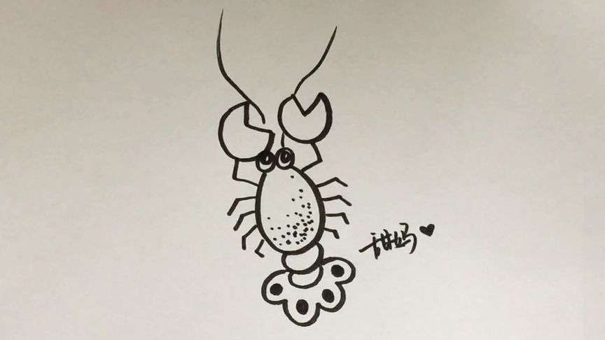 儿童简笔画海洋世界篇:可爱的虾