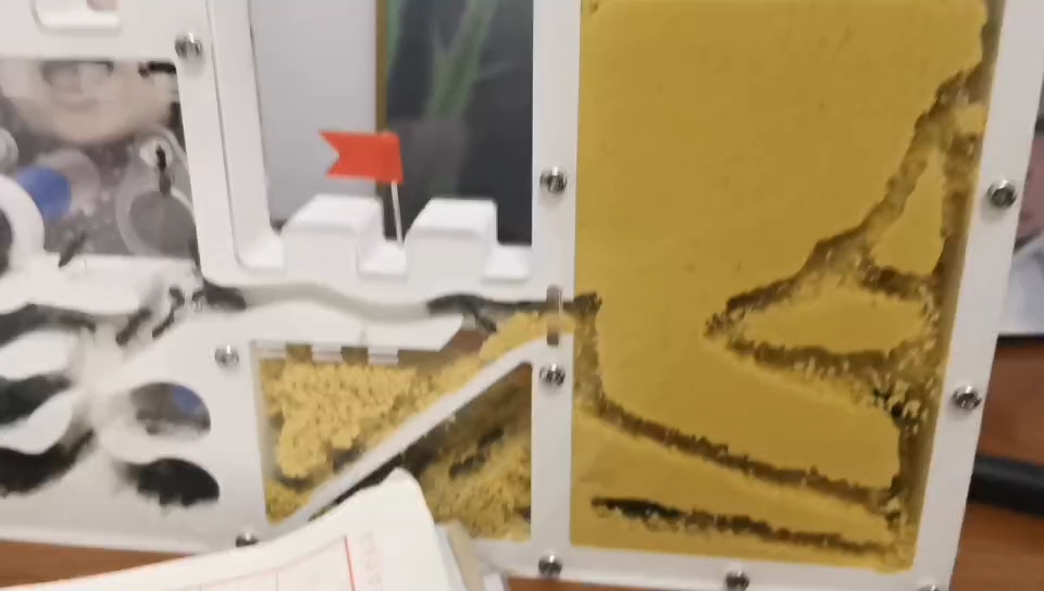 蚂蚁日常观察记录