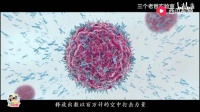 病毒进入人体的全过程