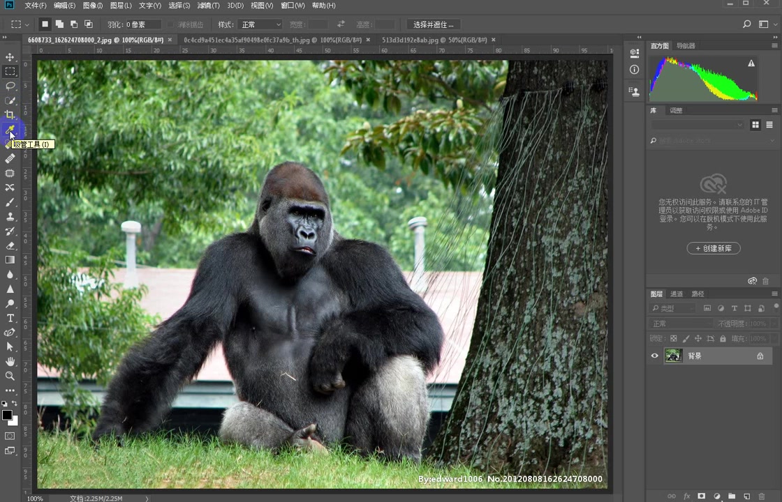 【PS教程】Photoshop cc 2018 新功能演示 (51RGB在线教育)