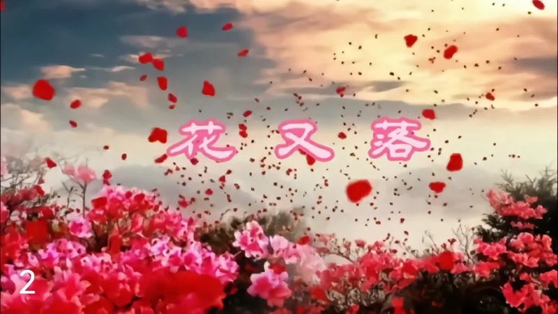 罗兰电吹管ae10演奏《花又落》