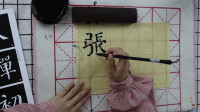 书法新手入门教学,张字你学会了吗?一起练习吧!
