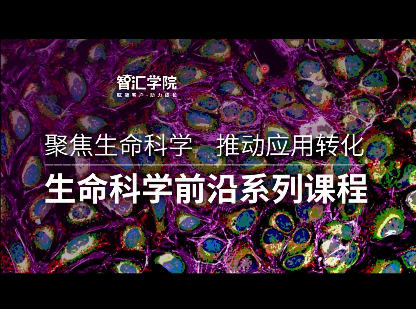 细胞治疗前沿研究前沿应用——低亲和力CAR-T研发案例1
