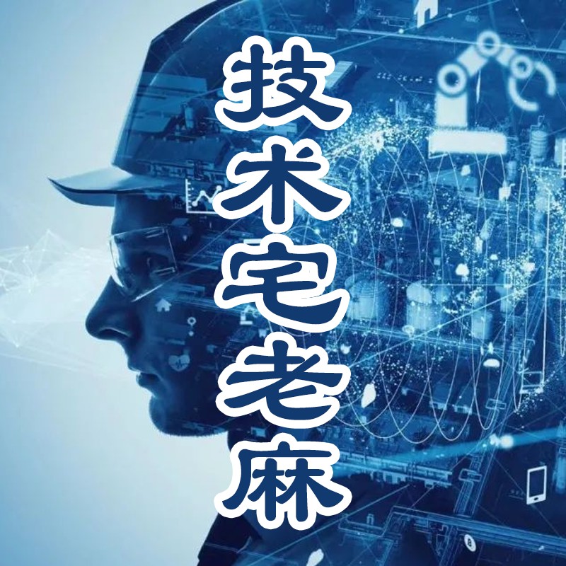 技术宅老麻 