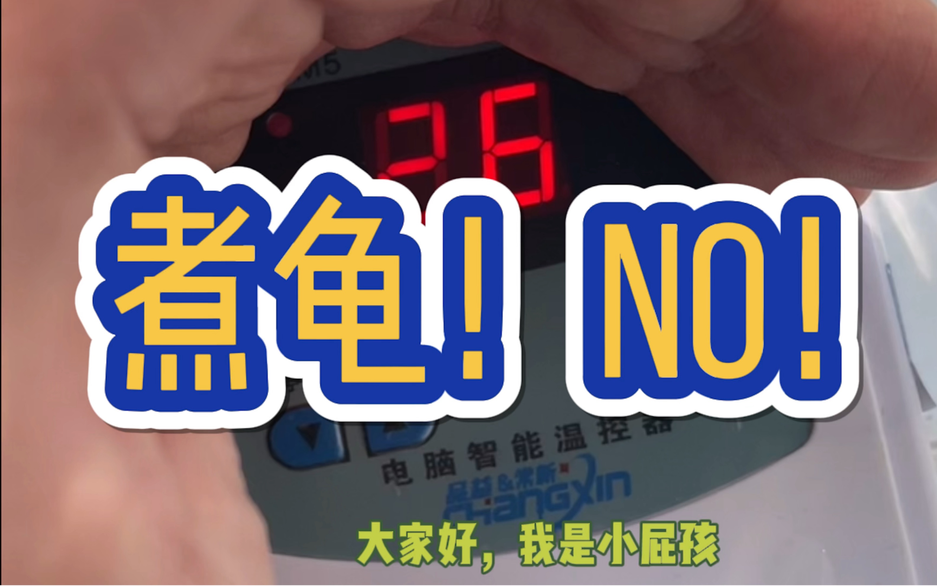 对煮龟说NO!温控你值得拥有!但是不准咋办?温控加热棒使用分享