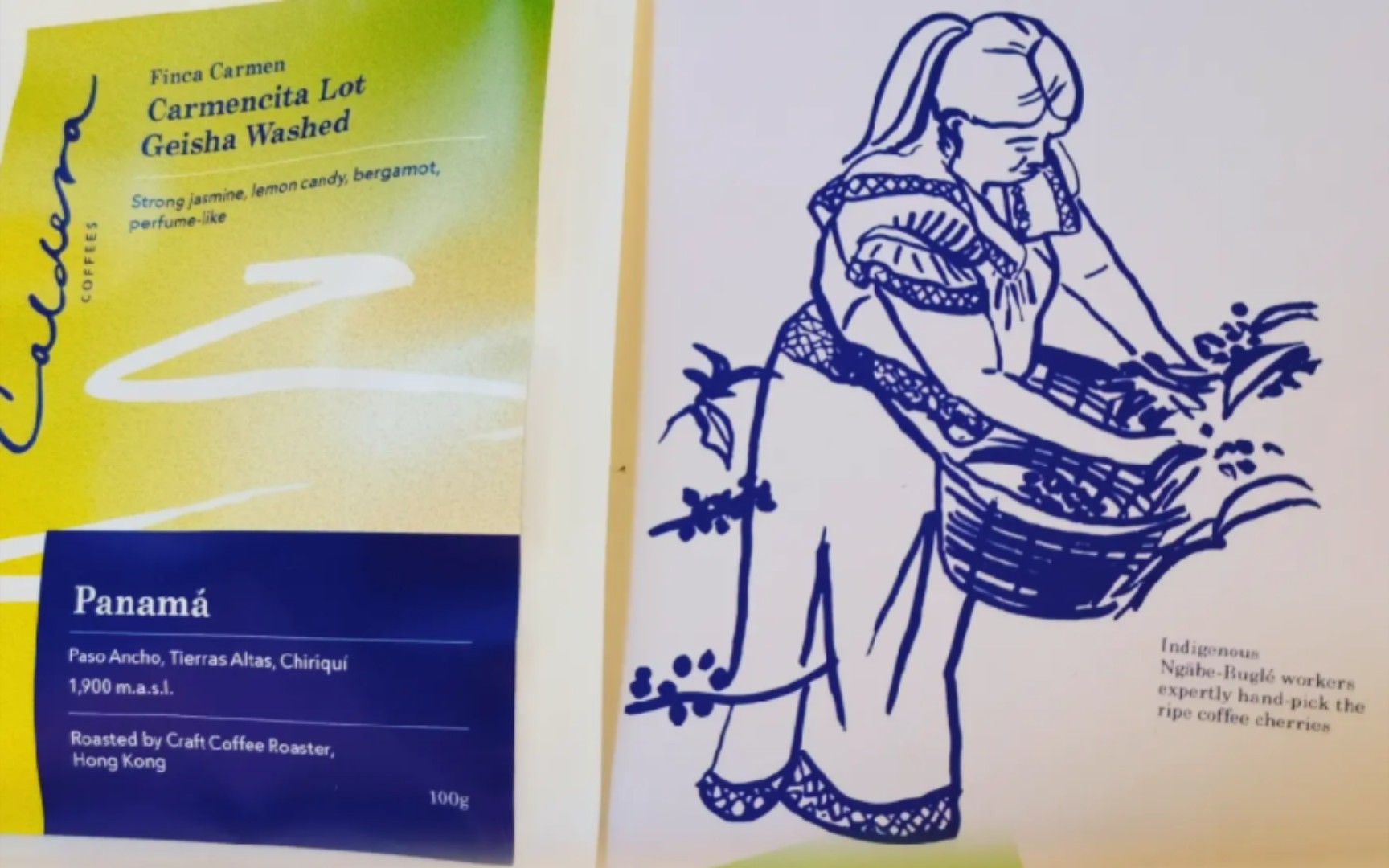 手冲咖啡|巴拿马卡门水洗瑰夏