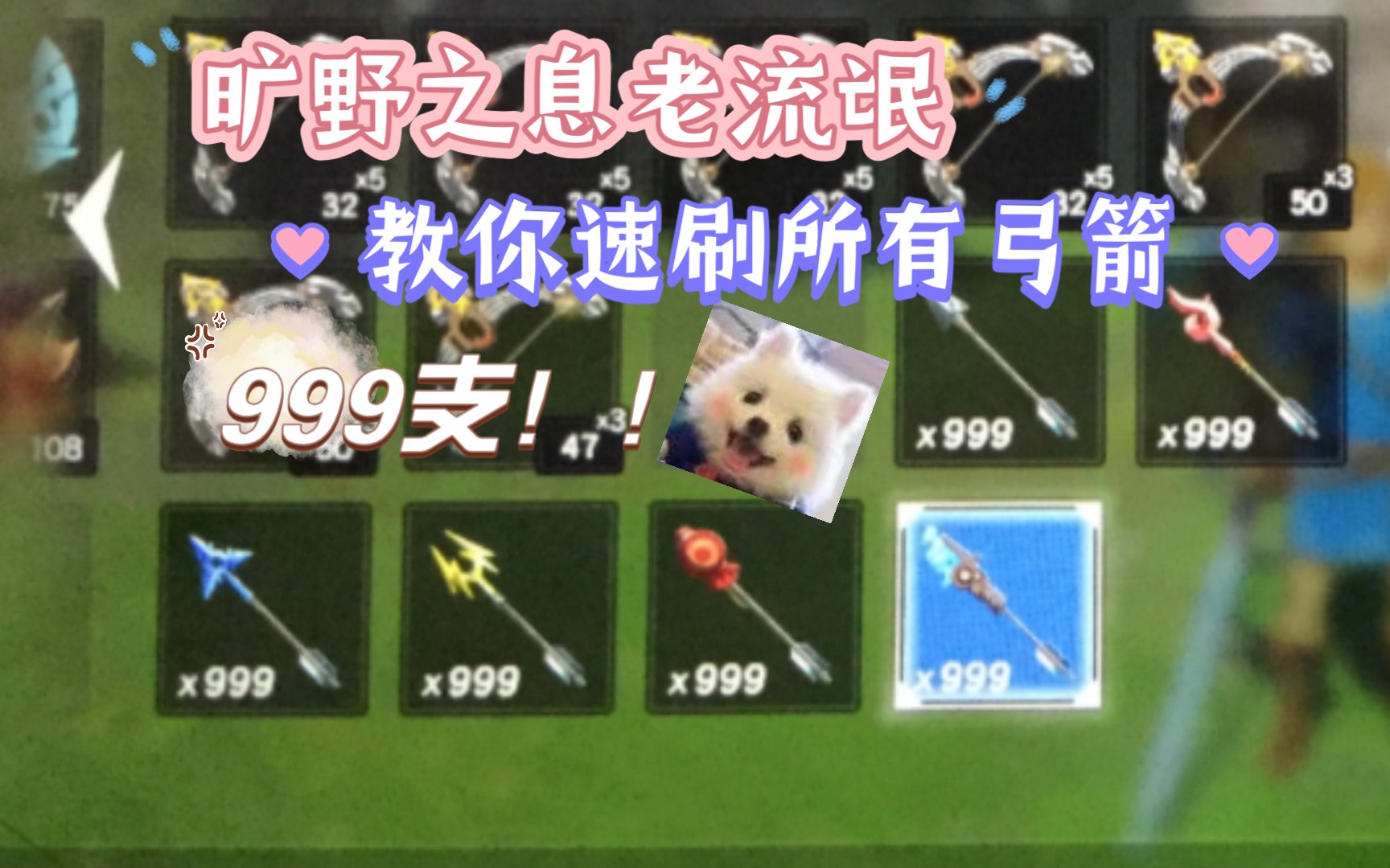 「塞尔达传说」速刷999所有种类弓箭,实现海拉鲁弓箭自由