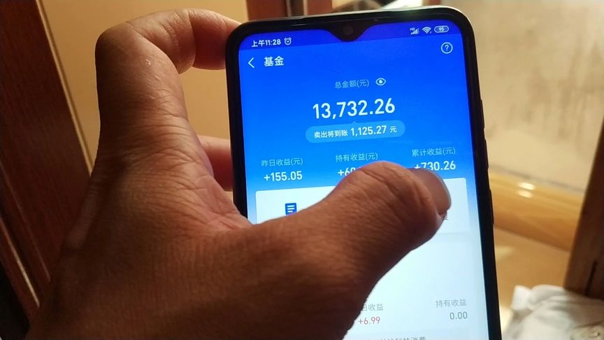 支付宝两只500块的基金卖掉了,尝试定投方法,收益够买几次猪肉