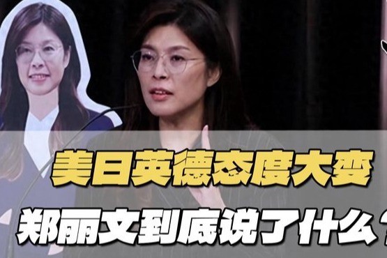 郑丽文说出四个字后,美日英德突然的举动,出乎所有人预料