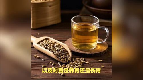 大麦茶:养生功效之 "火" 与 "胃" 的真相