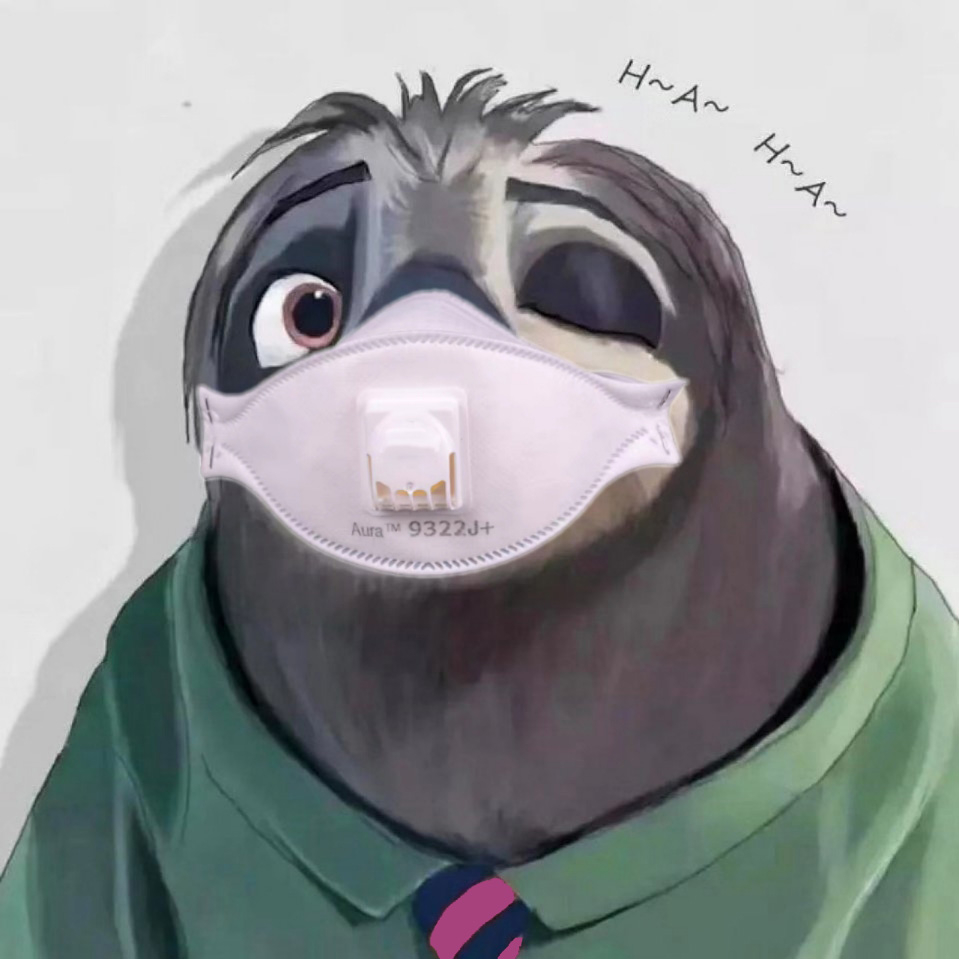 树懒闲不住 