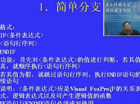 VF程序设计20 分支和循环结构程序设计