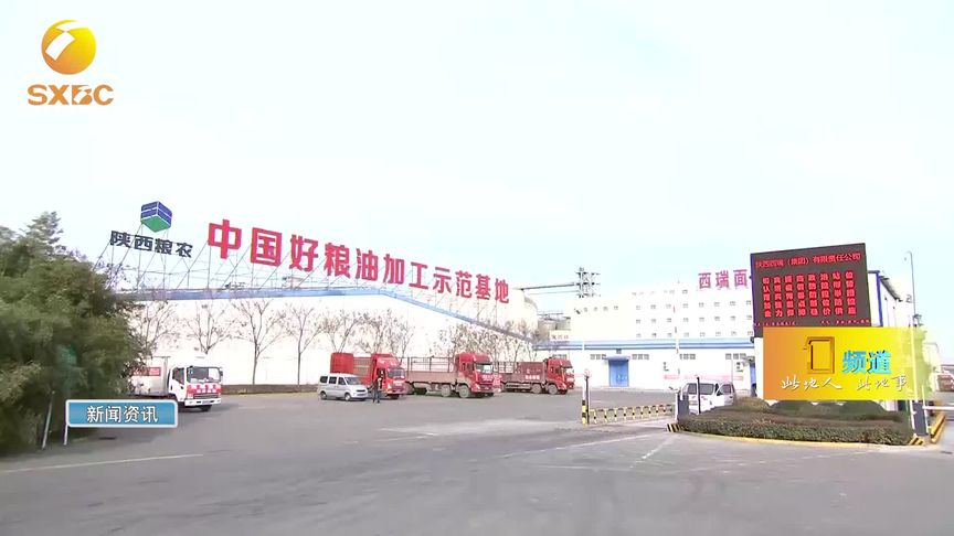 陕西省粮食和物资储备局:粮食库存能满足全省人民一年的消费需求