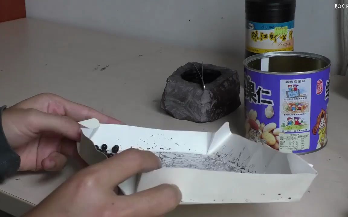 实验微课:模拟标记重捕法调查动物的种群密度
