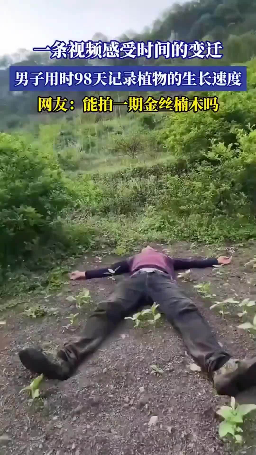 一条视频感受时间的变迁,男子用时98天记录植物的生长速度