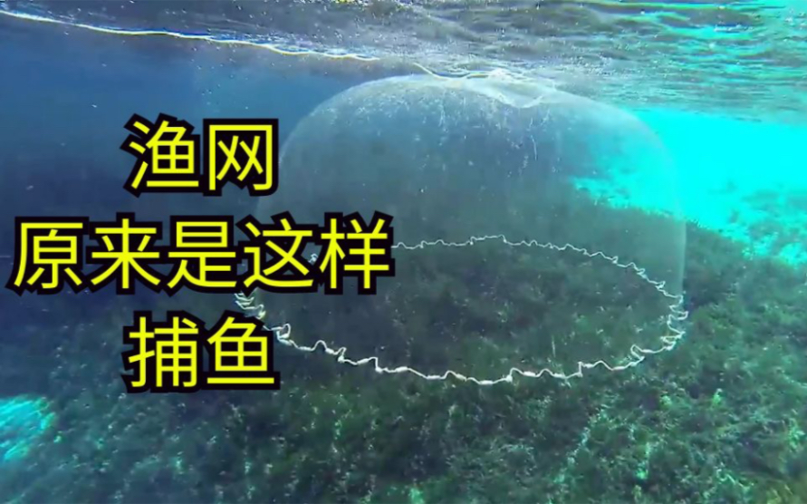 捕鱼原理:渔网下面是空的,怎么捕鱼上来?