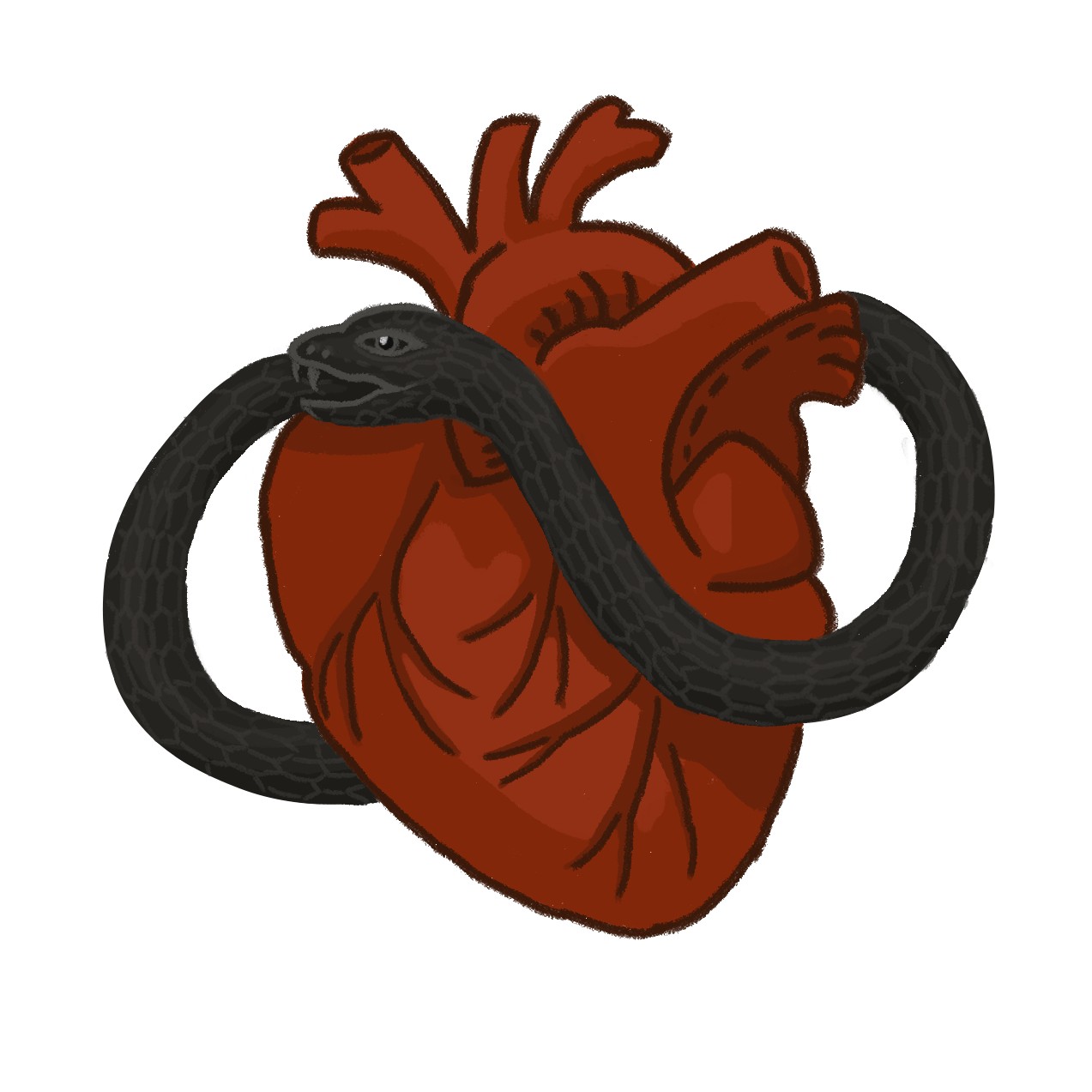 黄老邪N星之科学 