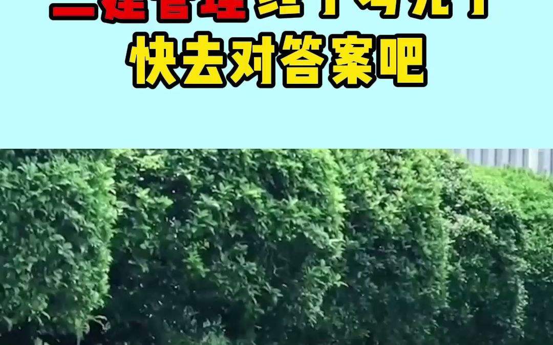 二建管理真题答案及解析出来了,快来一起估分吧