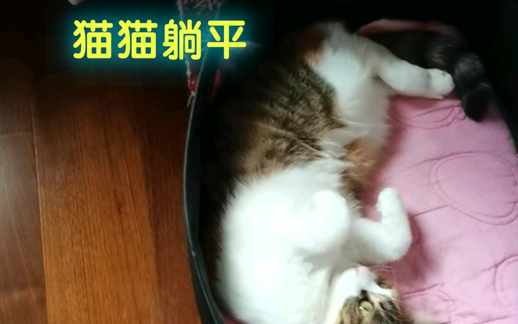 明天就放假了,今天不想工作想摆烂